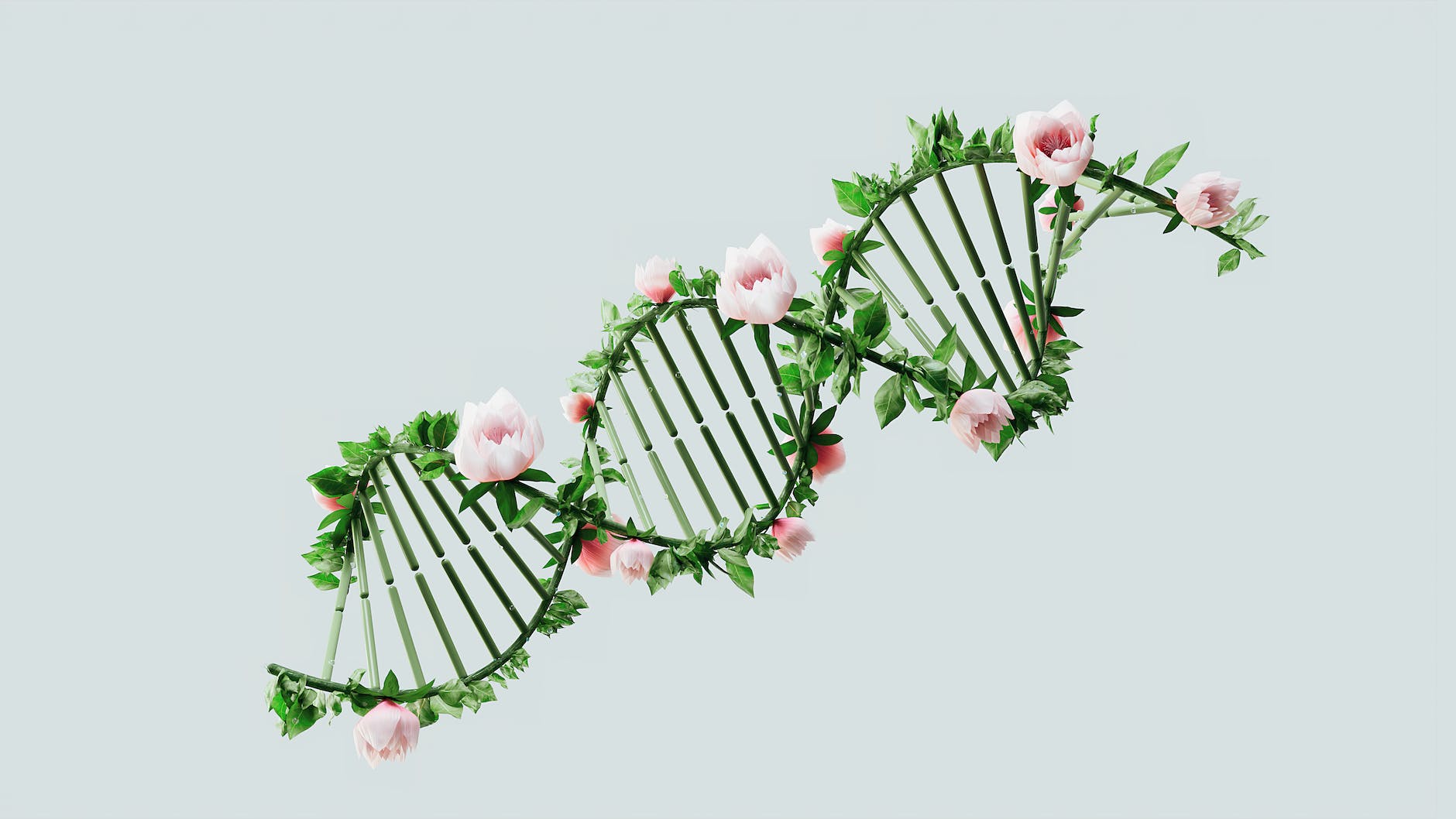 Bioinformatika: Mencari ORF dan Enzim Pada SnapGene – Qorinotes